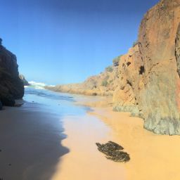 Premium Y62 Patrol Ute Conversions – DMW